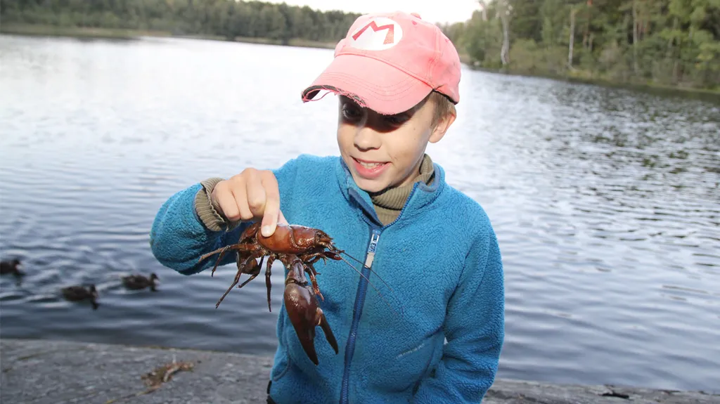 Här kan du fiska egna kräftor i Täby | Mitt i