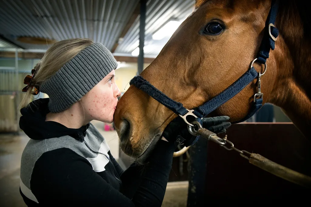 Här varvas matte och svenska med hästmys och bajsplock | Mitt i