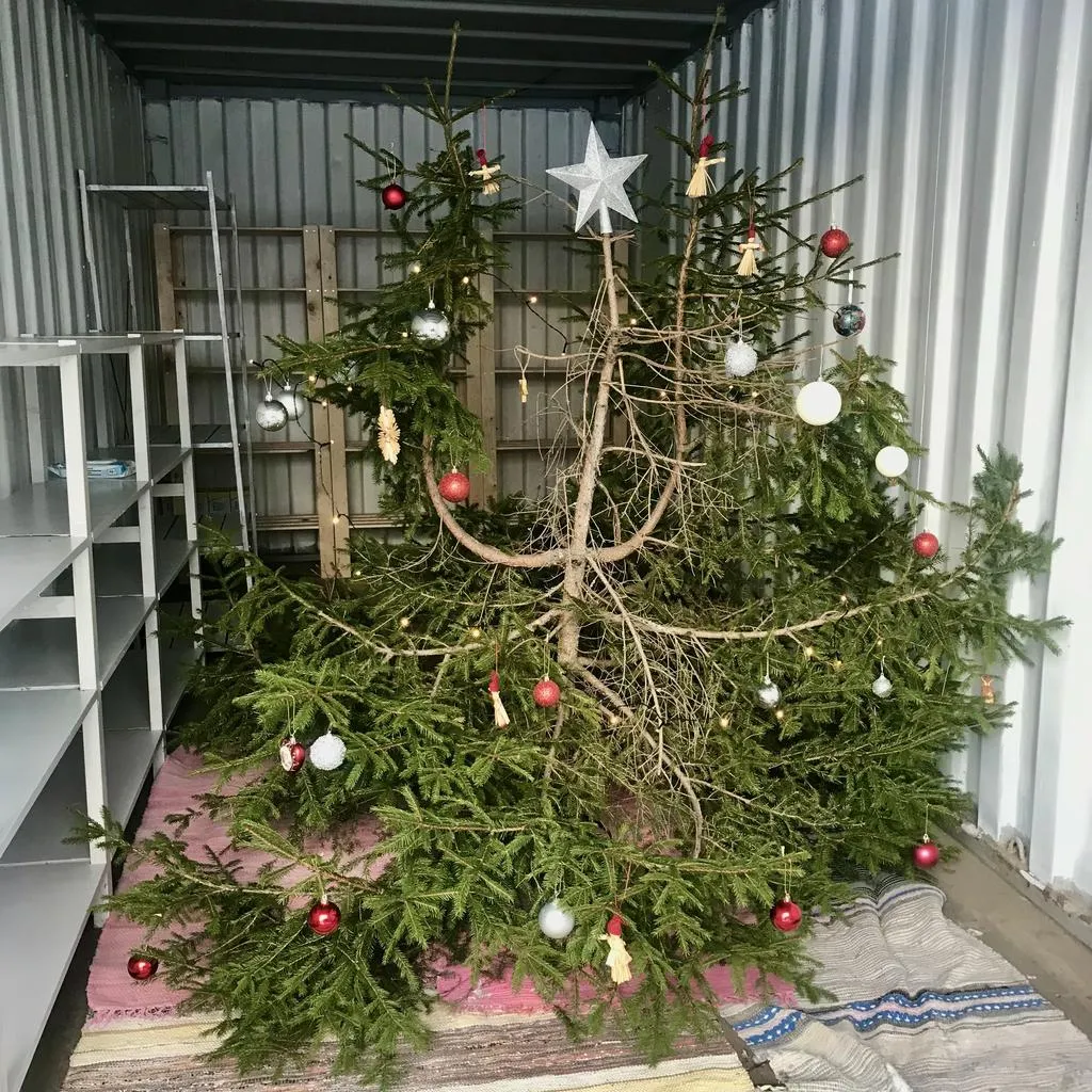 Är det här Stockholms fulaste julgran? | Mitt i