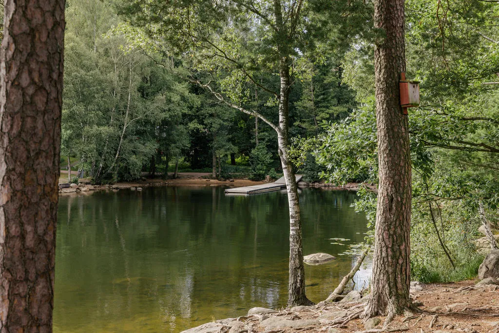 Løp til Gøteborgssjøen kreps | Midt i Gøteborg - Betzykrisesenter